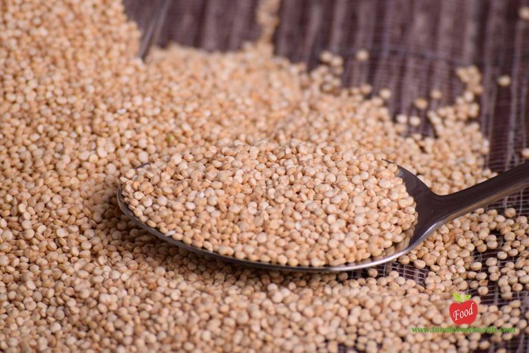 Foods Types That Help Regenerate Cartilage - foodformyhealth.com